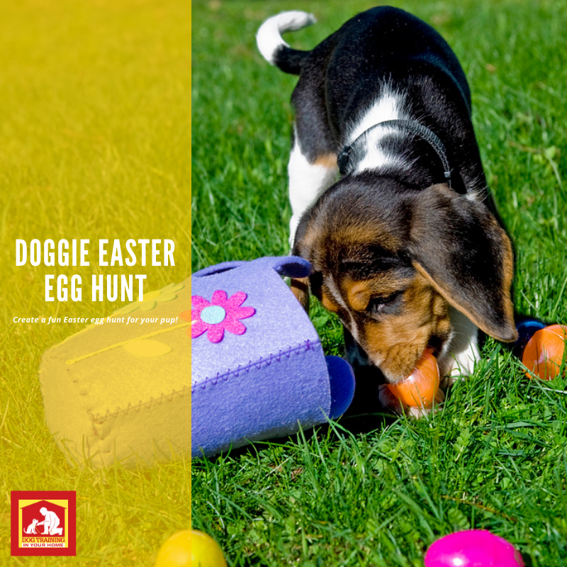 Make A Dog Easter Egg Hunt | Dog Training In Your Home - Myrtle Beach