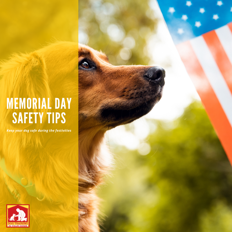 Memorial Day Safety Tips for Dogs | Dog Training In Your Home MB